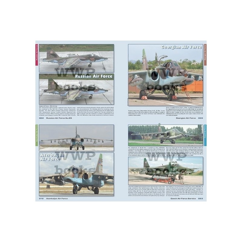 Su-25 Frogfoot in detail